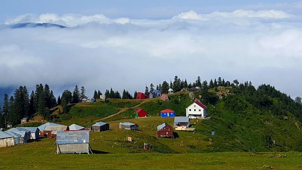 გურია გომის მთა, ზღაპარი დედამიწაზე, გურია, 0 GEL, One step traveler