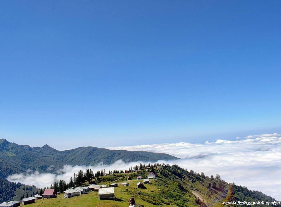 გურია გომის მთა, ზღაპარი დედამიწაზე, გურია, 0 GEL, One step traveler